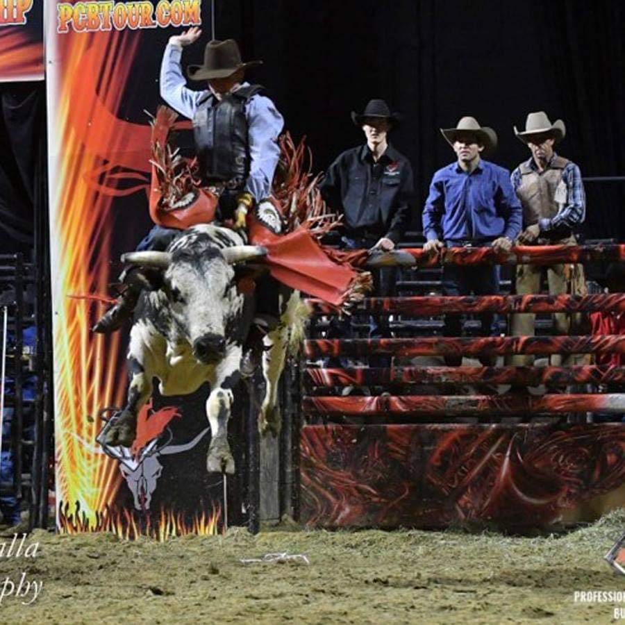 PCB Bull Riders - KQ98