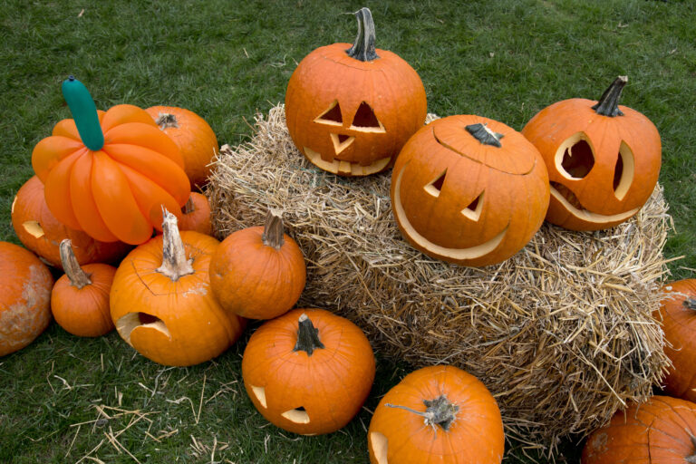 Miss Winona makes history as the first Native American to win Miss ...